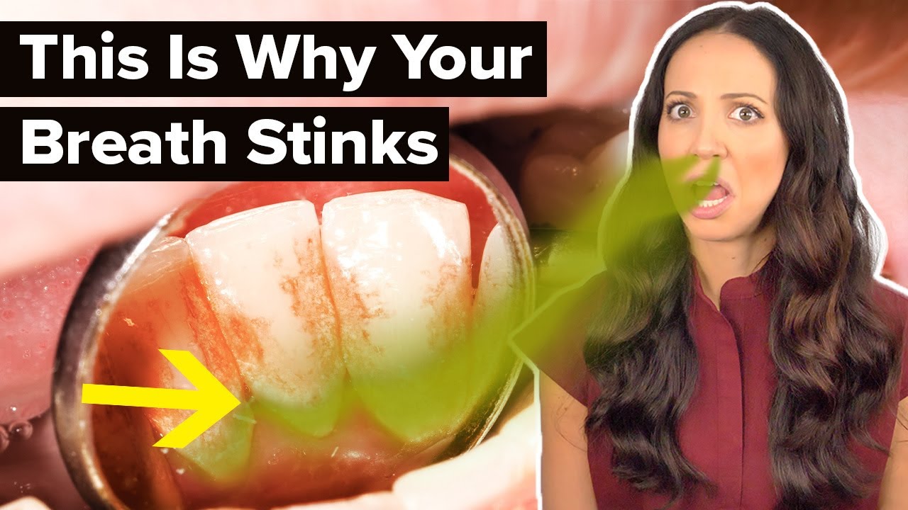 why your breath REALLY stinks (dental hygienist explains) - Etoners