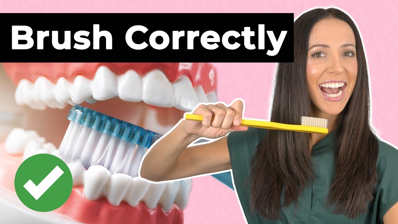 How To Brush Your Teeth Correctly Etoners